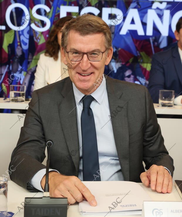 El presidente del Partido Popular, Alberto Núñez Feijóo, preside la ...