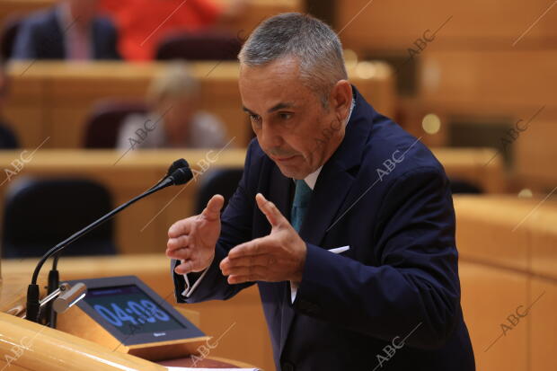 En la imagen, el senador Ángel Pelayo Gordillo (Vox) - Archivo ABC
