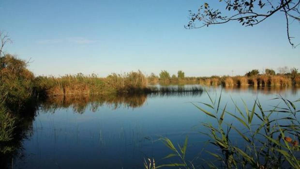 El Marjal de Almenara, nuevo humedal de importancia internacional
