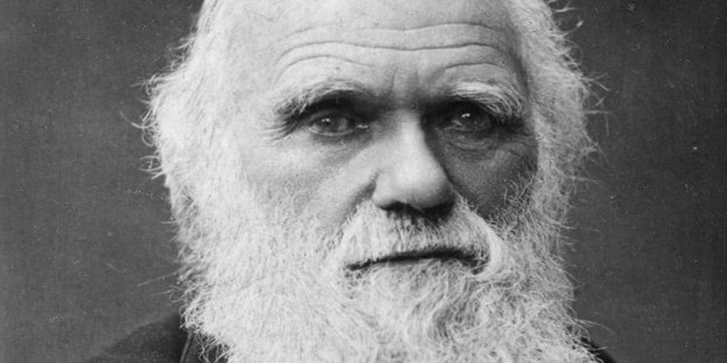 Ignacio Ruiz-Quintano: Darwinismo