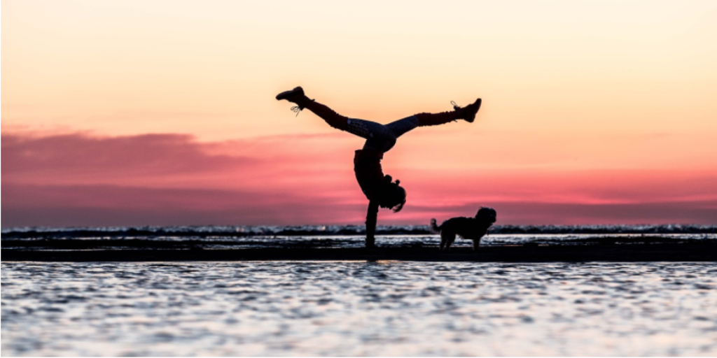Conoce el Doga, el Yoga para perros
