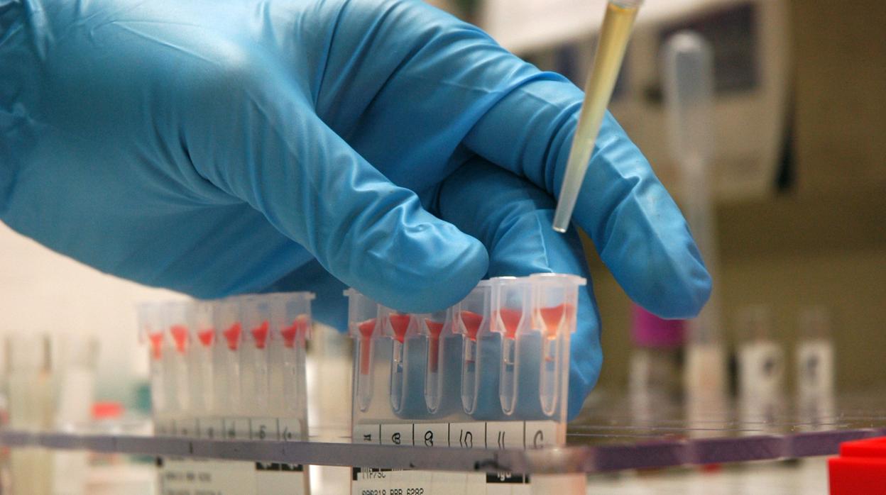 Un análisis de sangre detecta el cáncer de pulmón 4 años antes que las ...