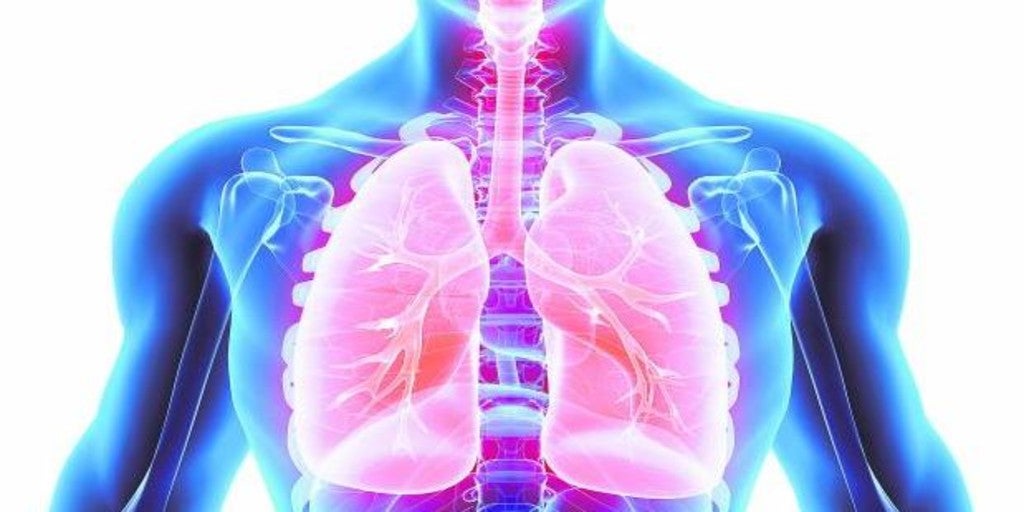 Cinco ejercicios respiratorios que mejoran la función pulmonar tras ...