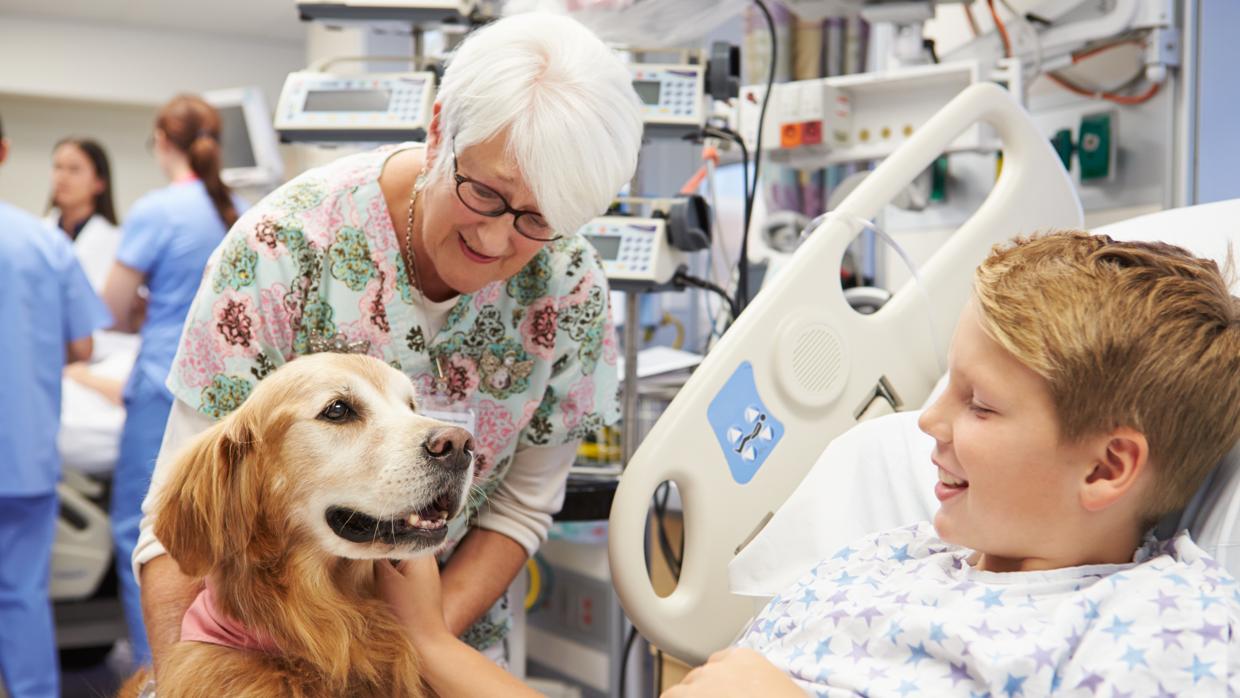 Los perros podrán visitar a sus dueños en el Hospital de Ibiza