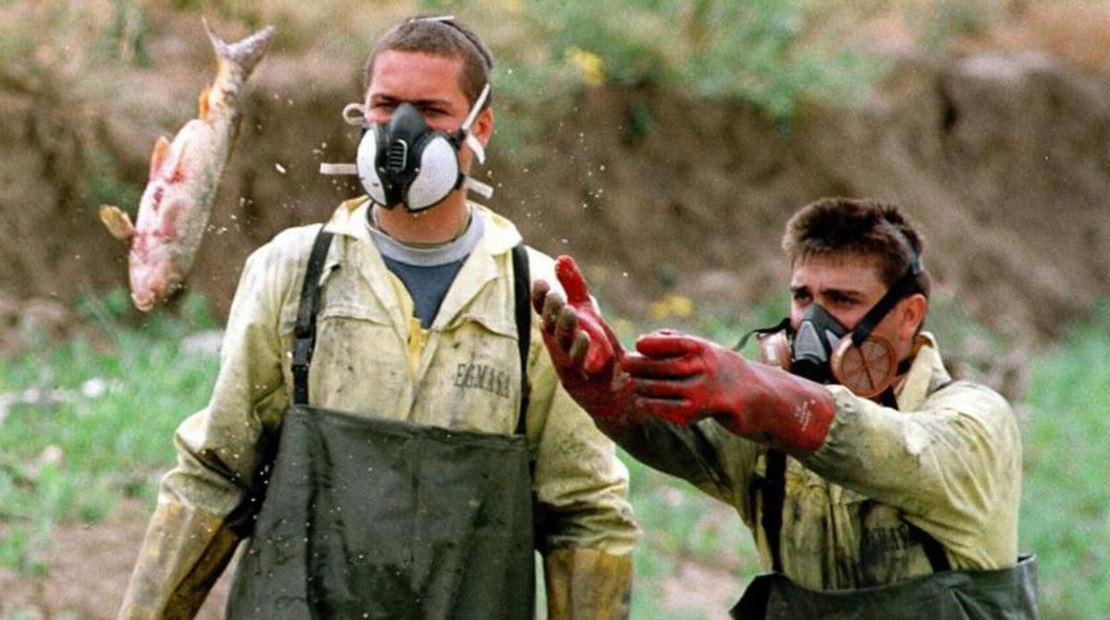 Ecocidio: el nuevo crimen ambiental que planea sobre España