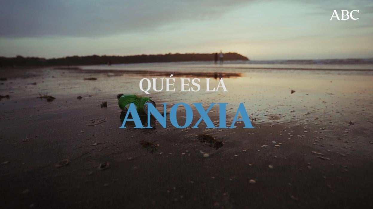 ¿Qué es la anoxia?