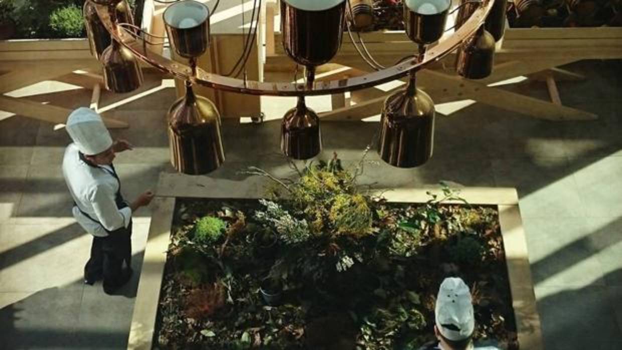 Restaurantes ecológicos: El compromiso con la naturaleza